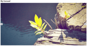 How to add Tailwind CSS Carousel React (no library) - FrontendShape